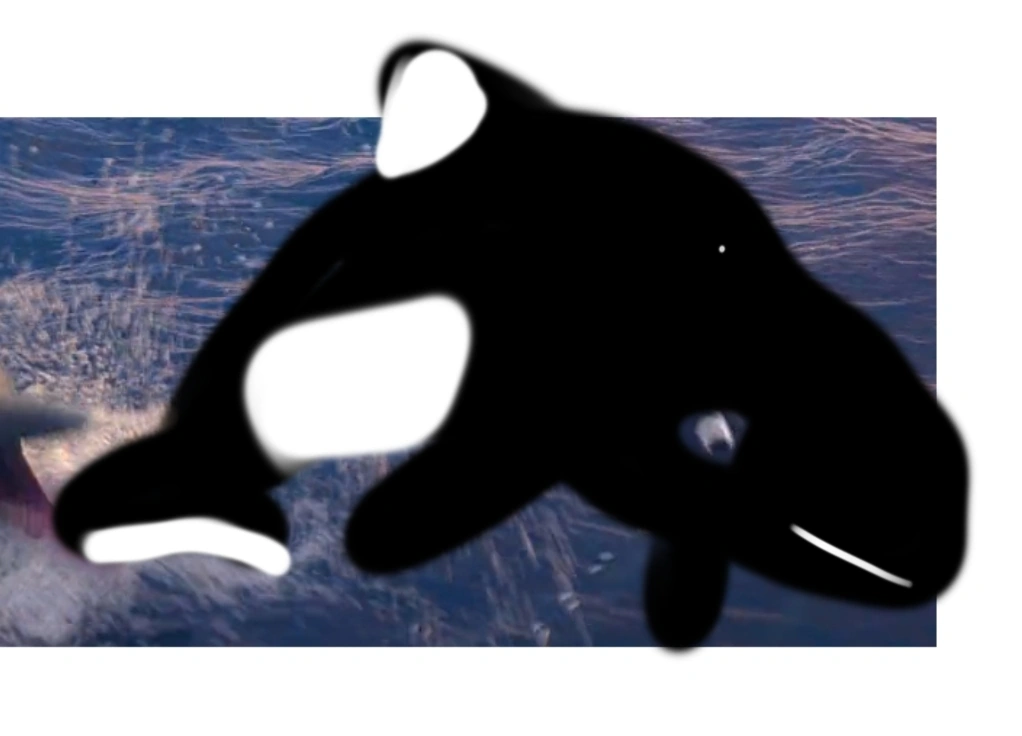 Dall's Porpoise | FictionRulezForever Wiki | Fandom