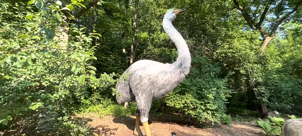 South Island Giant Moa | FictionRulezForever Wiki | Fandom