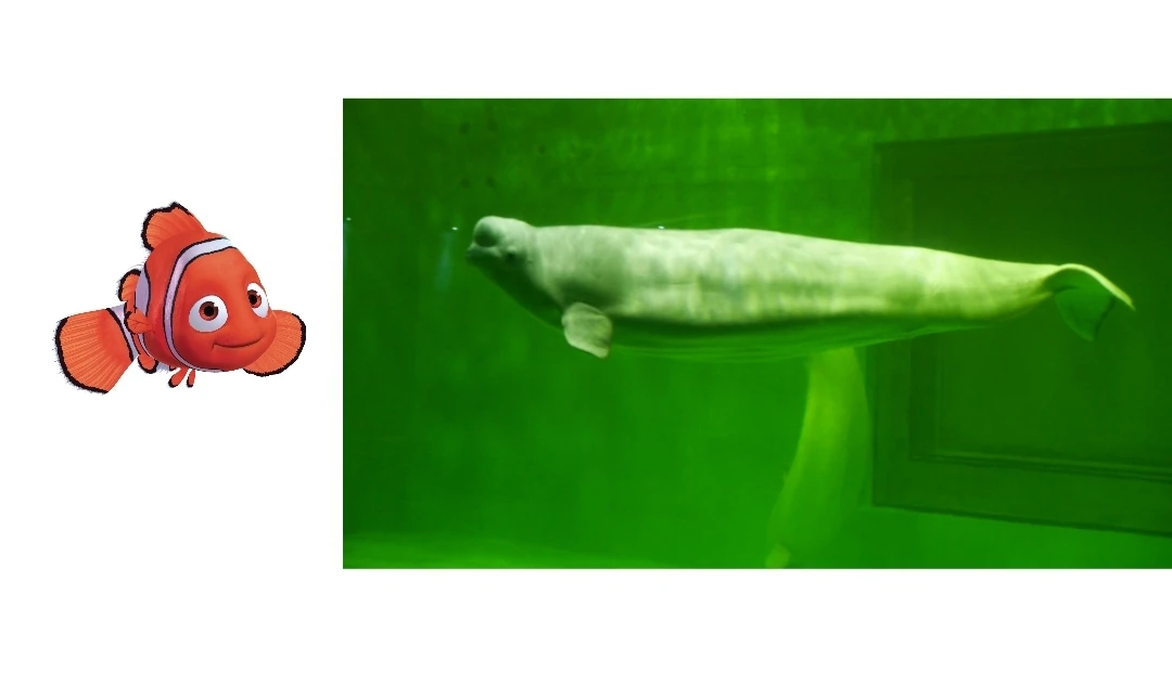 Nemo and his Ocean Animal Friends | FictionRulezForever Wiki | Fandom