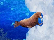 Walrus | FictionRulezForever Wiki | Fandom