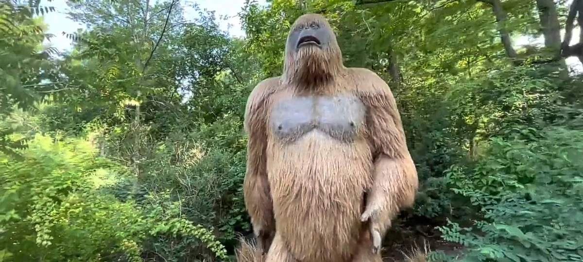 The Zoo (NatureRules1 Style) | FictionRulezForever Wiki | Fandom