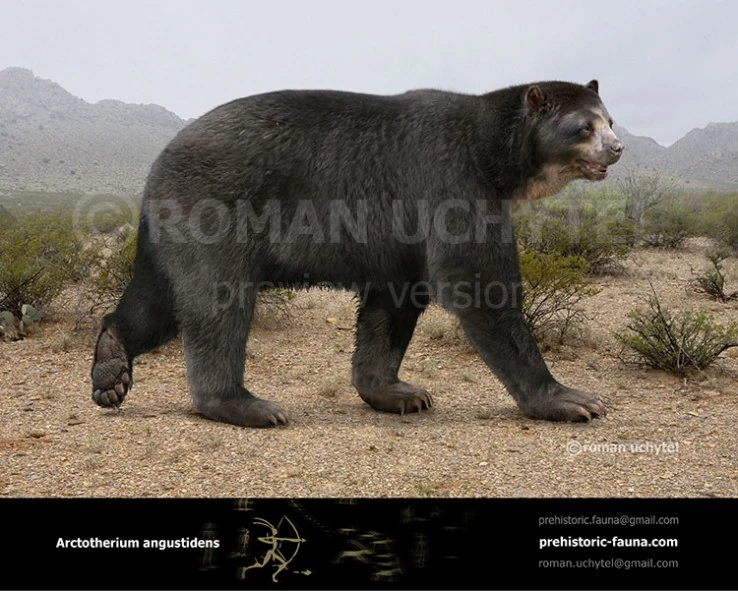 Arctotherium | FictionRulezForever Wiki | Fandom