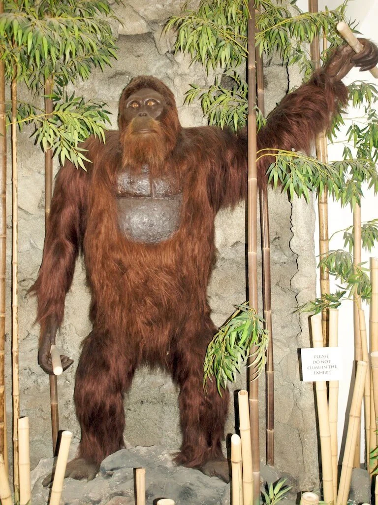 Gigantopithecus | FictionRulezForever Wiki | Fandom