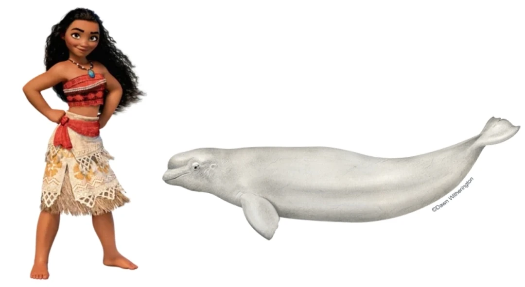 Moana and her Ocean Animal Friends | FictionRulezForever Wiki | Fandom