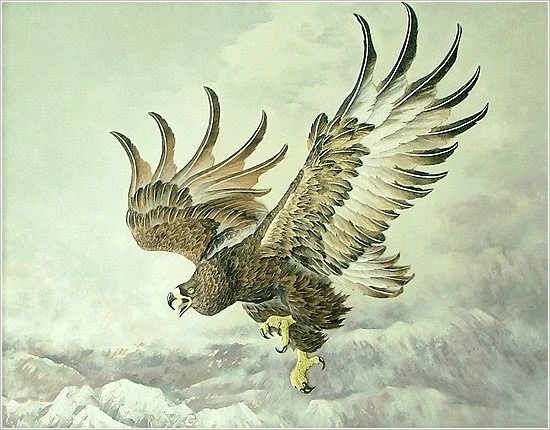 Roc | FictionRulezForever Wiki | Fandom