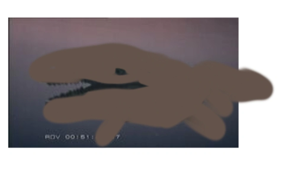 Prognathodon | FictionRulezForever Wiki | Fandom