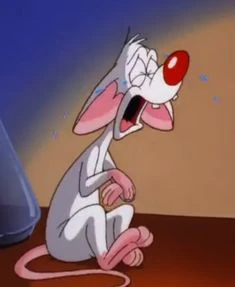 Pinky Mouse (Pinky and the Brain) | FictionRulezForever Wiki | Fandom