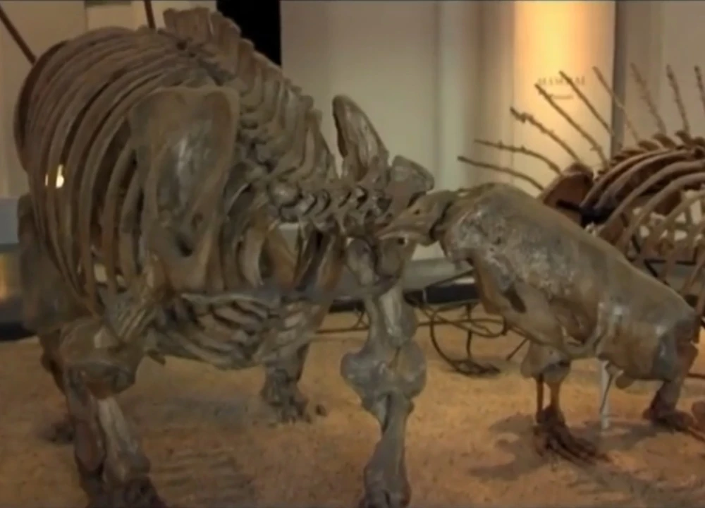 Glossotherium | FictionRulezForever Wiki | Fandom