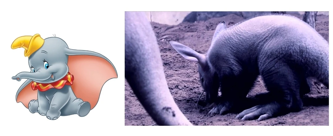 Dumbo and his Circus Animal Friends | FictionRulezForever Wiki | Fandom