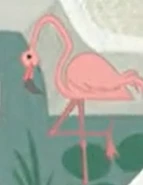 Greater Flamingo/Gallery | FictionRulezForever Wiki | Fandom