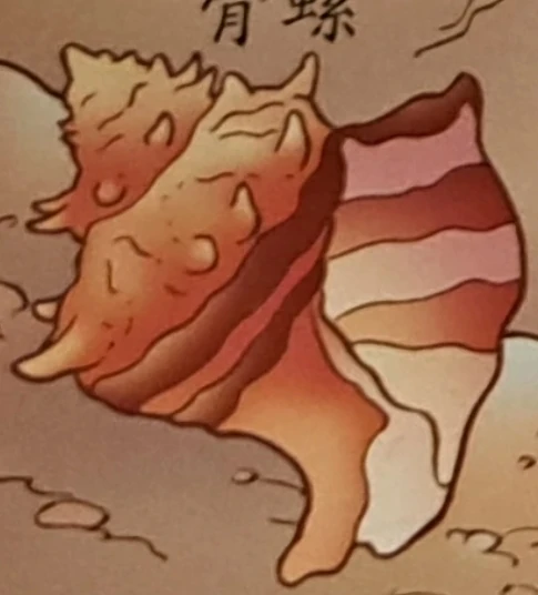 Queen Conch | FictionRulezForever Wiki | Fandom