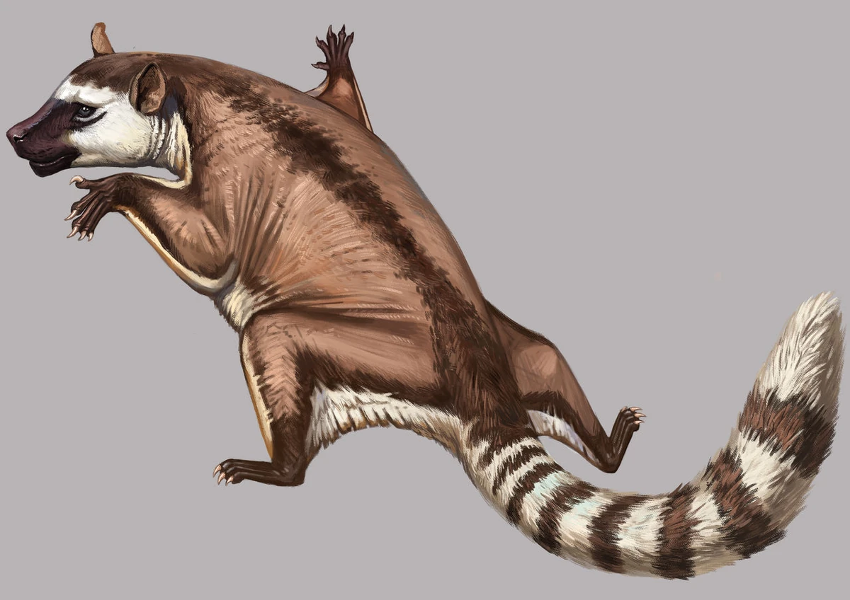 Volaticotherium | FictionRulezForever Wiki | Fandom