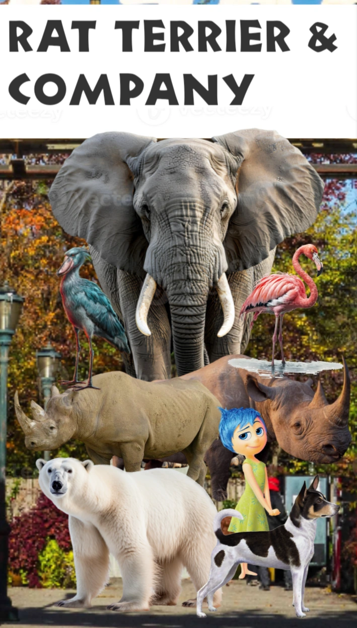 Rat Terrier and Company | FictionRulezForever Wiki | Fandom