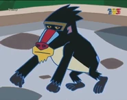 Mandrill | FictionRulezForever Wiki | Fandom