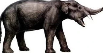 Palaeomastodon | FictionRulezForever Wiki | Fandom