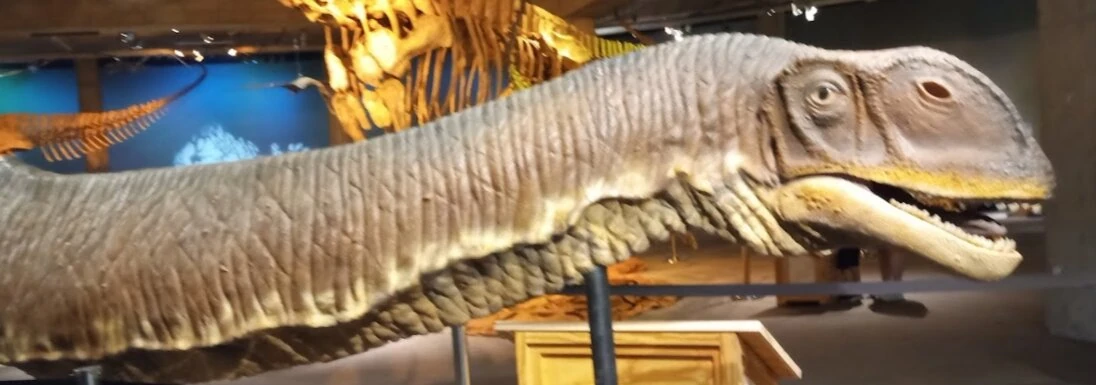 Jobaria | FictionRulezForever Wiki | Fandom