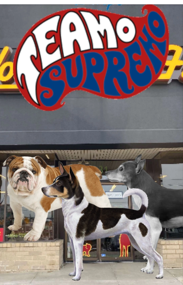 Teamo Supremo (Dog Breed Style) | FictionRulezForever Wiki | Fandom