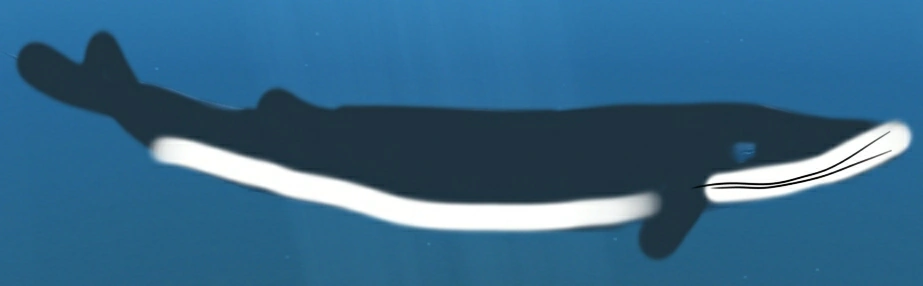 List of Species in Endless Ocean | FictionRulezForever Wiki | Fandom