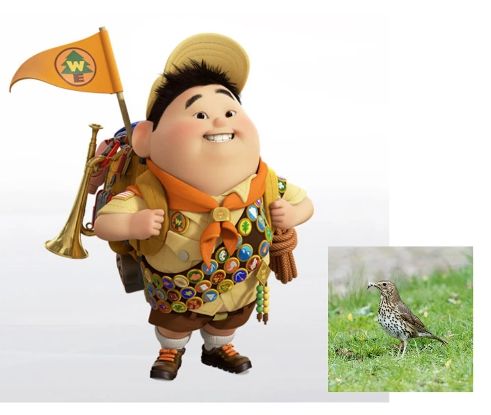 Song Thrush | FictionRulezForever Wiki | Fandom