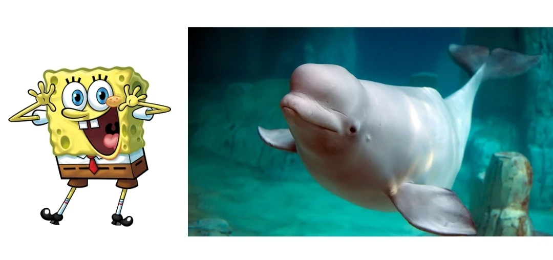 SpongeBob SquarePants and his Ocean Animal Friends ...