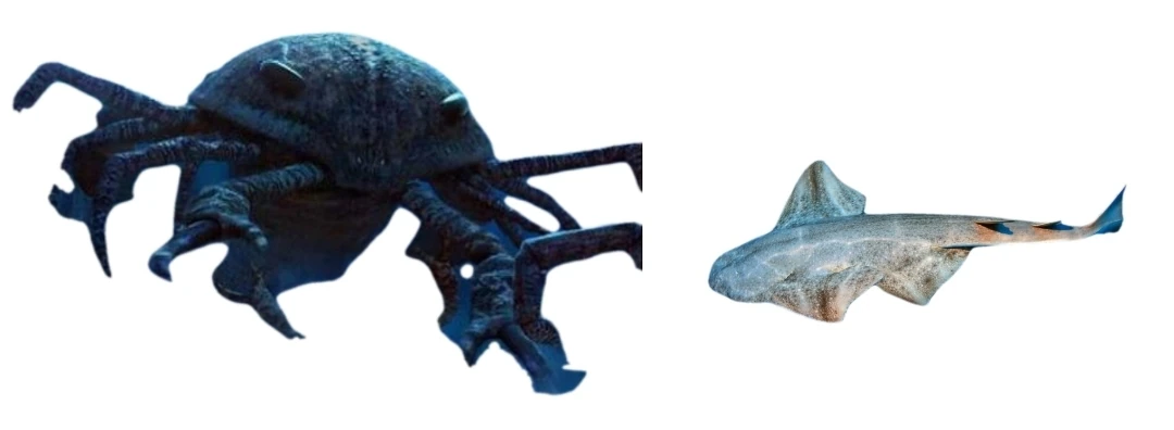 Pterygotus (Walking with Monsters) and her Seabed Animal Friends ...
