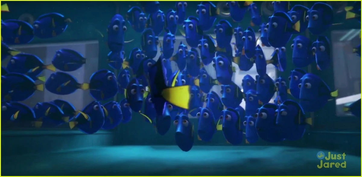 List of Species in Finding Dory | FictionRulezForever Wiki | Fandom
