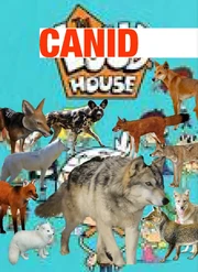 The Canid House | FictionRulezForever Wiki | Fandom