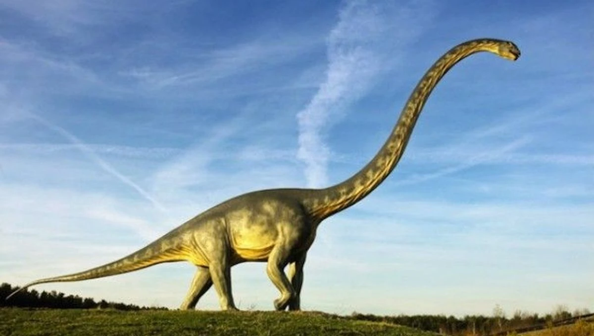 Diplodocus | FictionRulezForever Wiki | Fandom