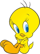 Atlantic Canary | FictionRulezForever Wiki | Fandom