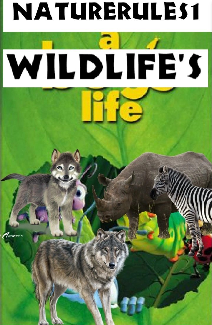 A Wildlife's Life | FictionRulezForever Wiki | Fandom