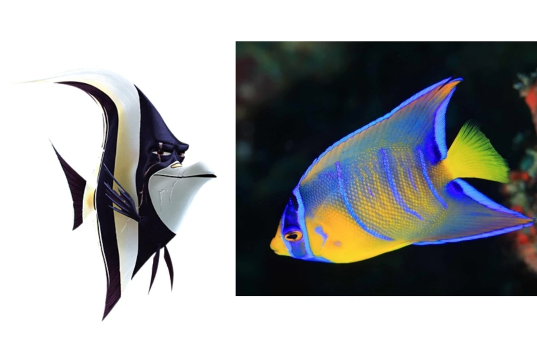 Gill and his Aquarium Fish Friends | FictionRulezForever Wiki | Fandom