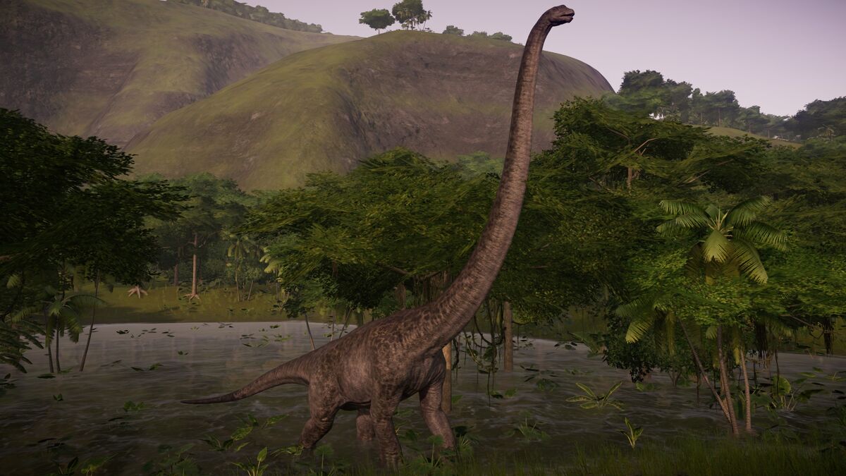 Mamenchisaurus Vs Brachiosaurus