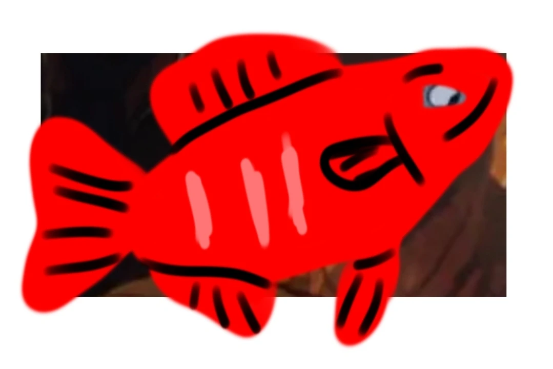 Moontail Bullseye | FictionRulezForever Wiki | Fandom