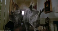 List Of Species In Jumanji Fictionrulezforever Wiki Fandom