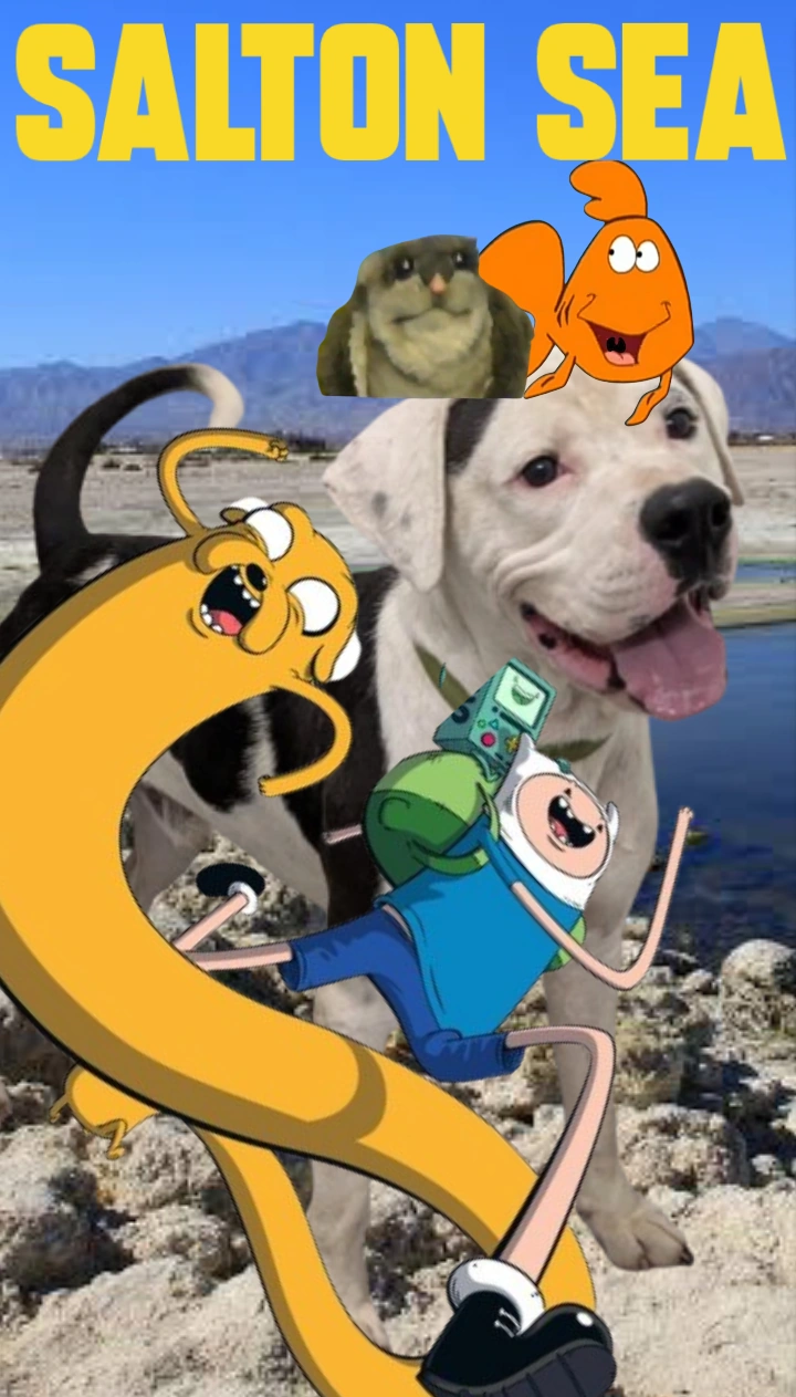 Salton Sea (Ratterriergirl2004 Animal Style) | FictionRulezForever Wiki ...