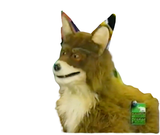 Virginia the Red Fox | FictionRulezForever Wiki | Fandom