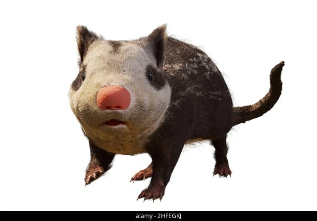 Alphadon | FictionRulezForever Wiki | Fandom