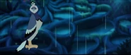 Harpy Eagle | FictionRulezForever Wiki | Fandom