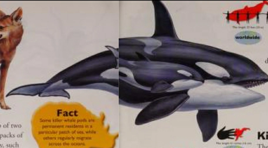 List of Species in Deadly Creatures Dictionary | FictionRulezForever ...