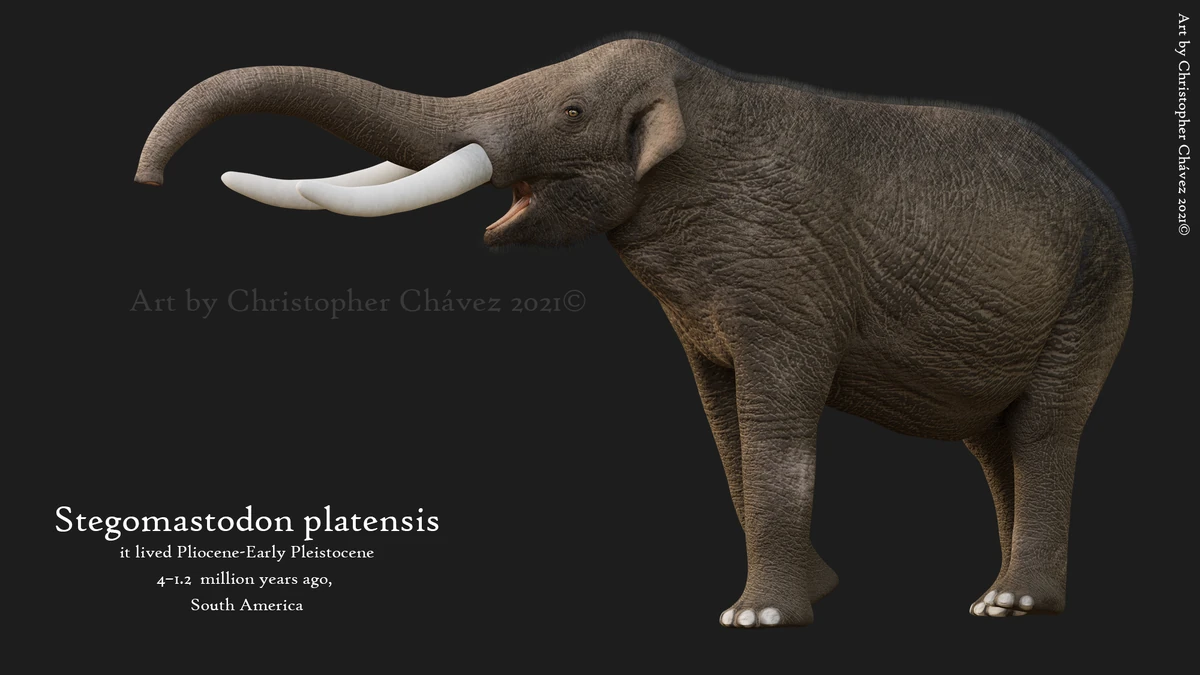 Stegomastodon | FictionRulezForever Wiki | Fandom