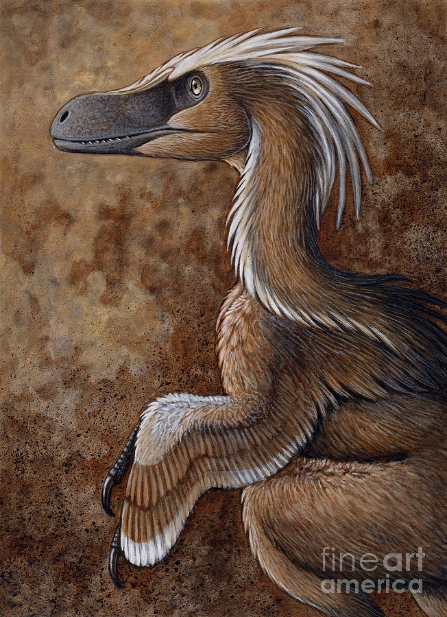 Velociraptor | FictionRulezForever Wiki | Fandom