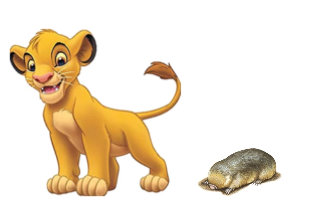 Grant's Golden Mole | FictionRulezForever Wiki | Fandom