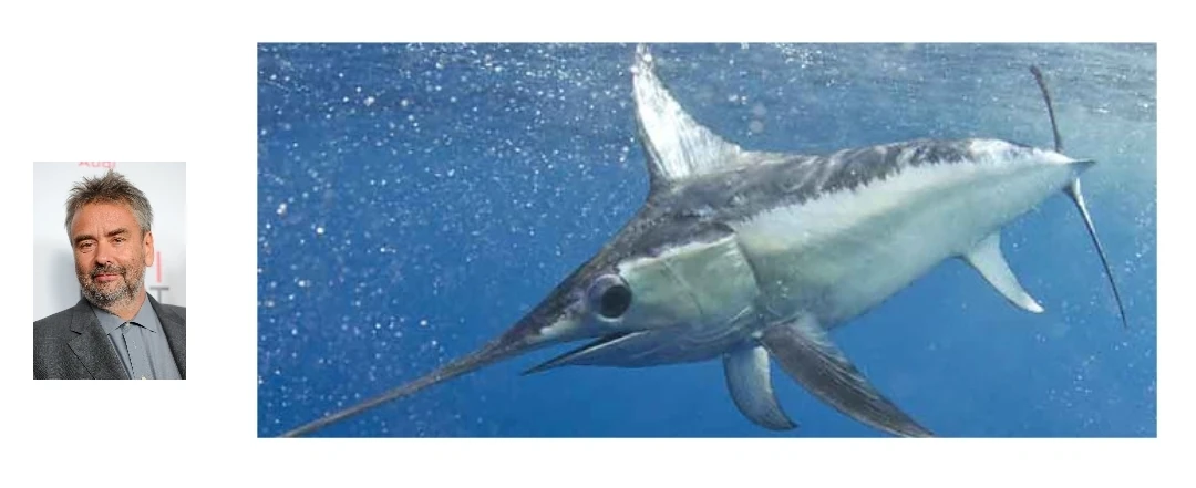 Luc Besson and his Ocean Animal Friends | FictionRulezForever Wiki | Fandom