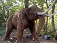 American Mastodon | FictionRulezForever Wiki | Fandom