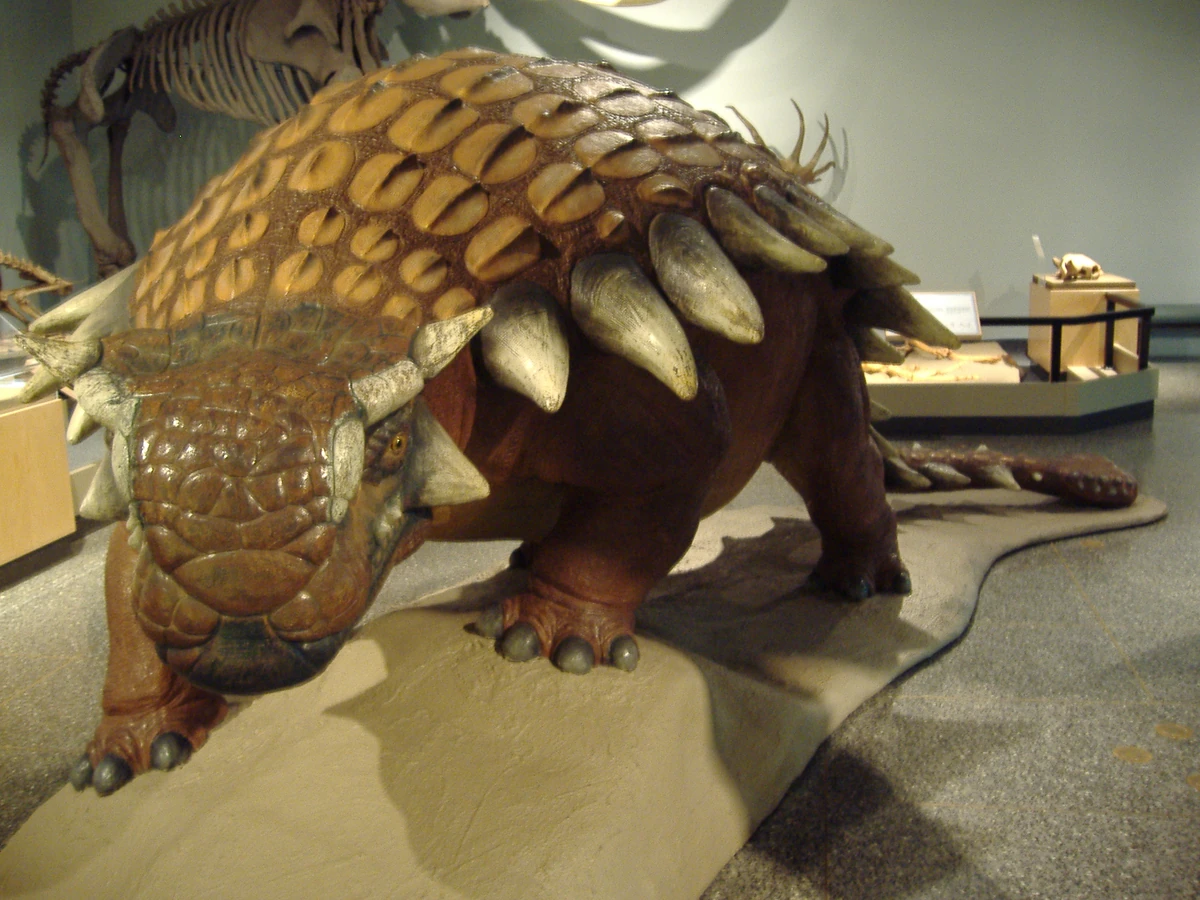 Ankylosaurus | FictionRulezForever Wiki | Fandom