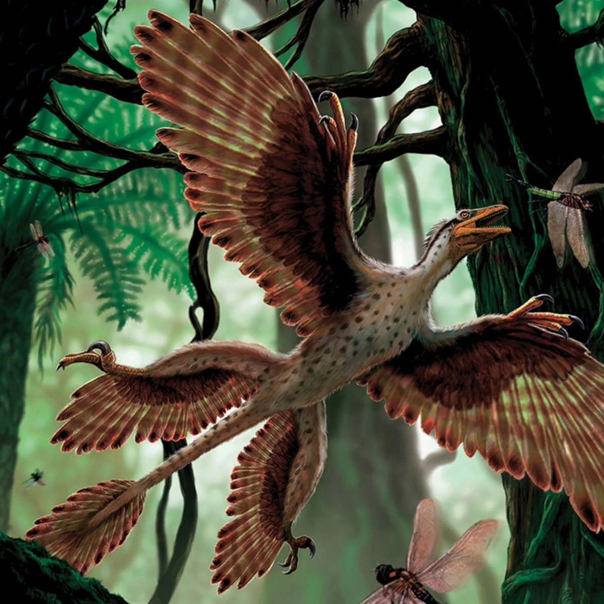 Microraptor | FictionRulezForever Wiki | Fandom