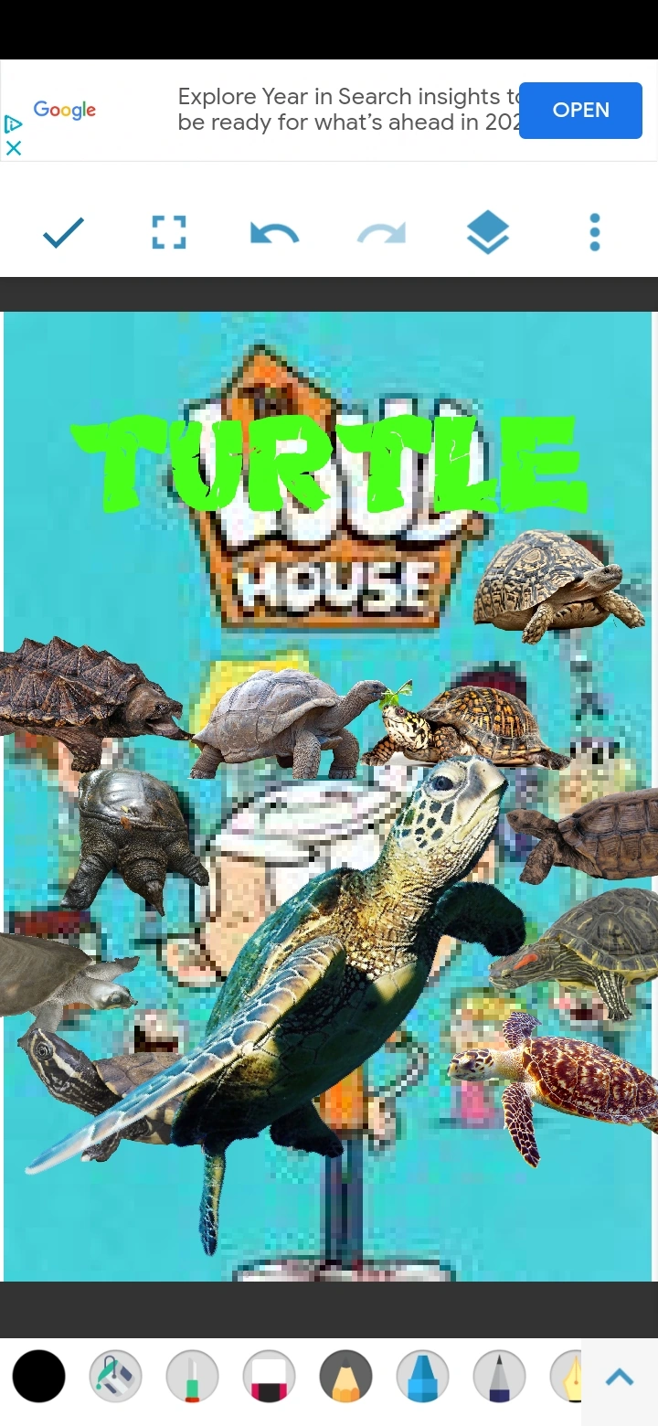 The Turtle House | FictionRulezForever Wiki | Fandom