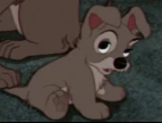 The Human Book (The Jungle Book) (1967) | FictionRulezForever Wiki | Fandom