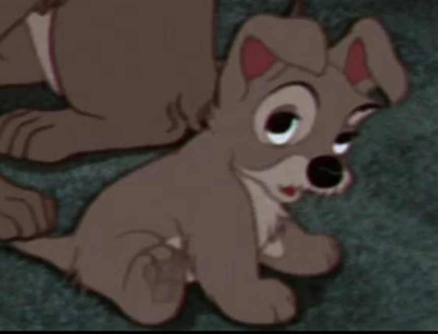 The Human Book (The Jungle Book) (2016) | FictionRulezForever Wiki | Fandom