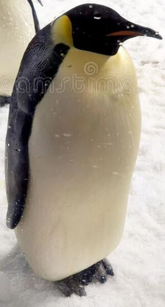 The Continentalyardigans | FictionRulezForever Wiki | Fandom